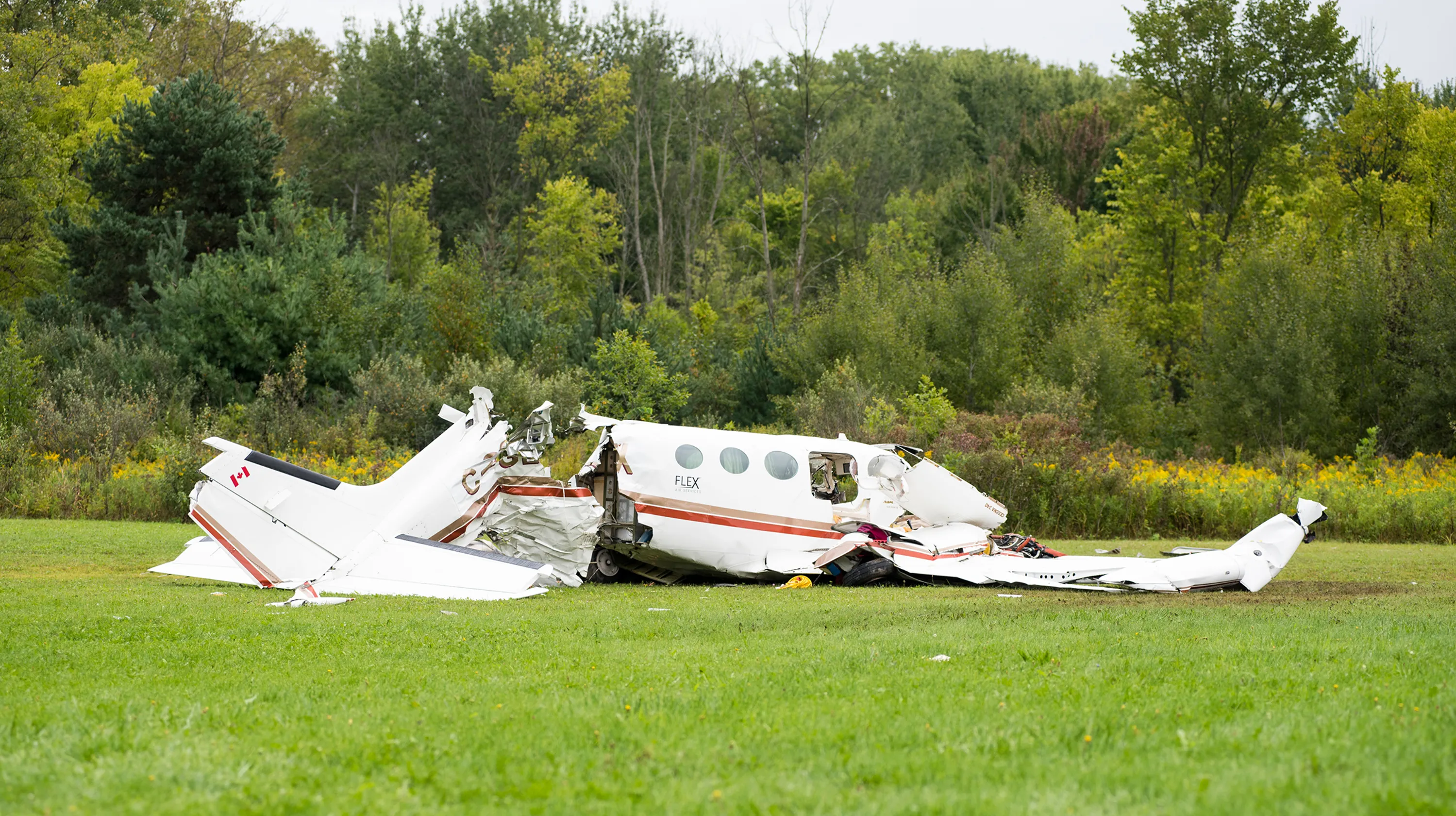 trees-plane-crash – WXPERT, LLC
